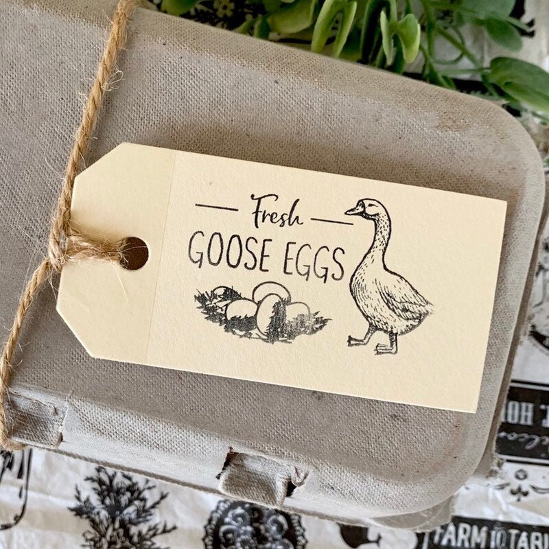 Goose Egg - Etsy