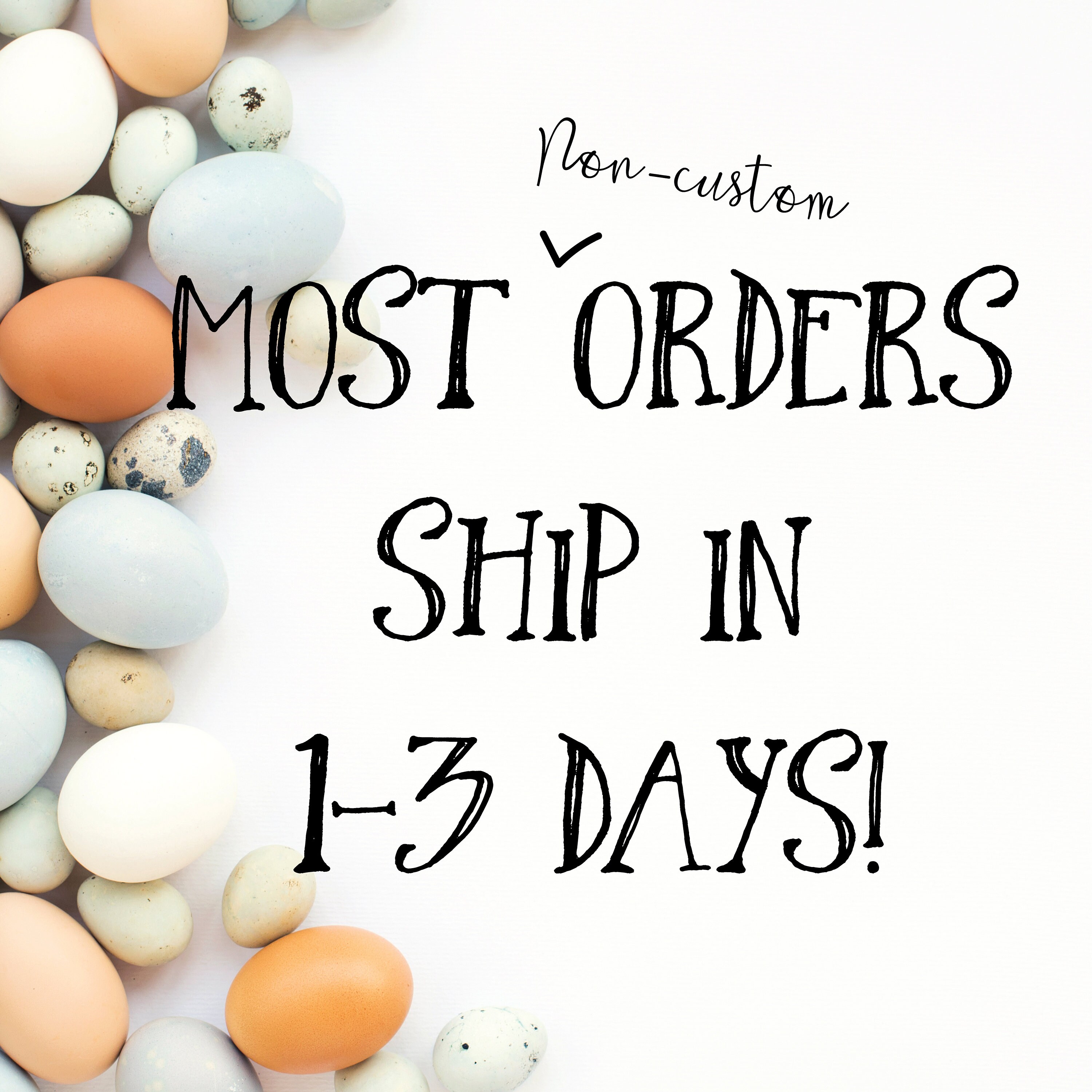 Enamel Chicken Pin Cute Chicken Pin Pink Silkie Chicken - Etsy