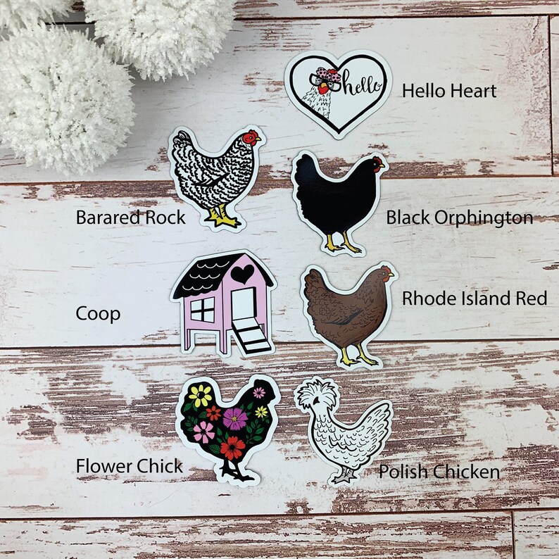 13 Cute Chicken Magnets Pretty Fridge Magnet Chicken | Etsy