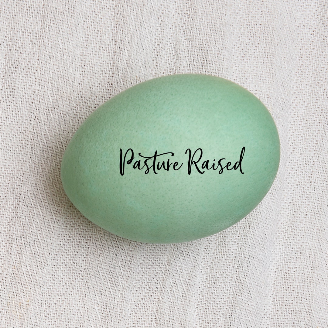 Mini Egg Stamp Pasture Raised Chicken Stamp Stamp for - Etsy