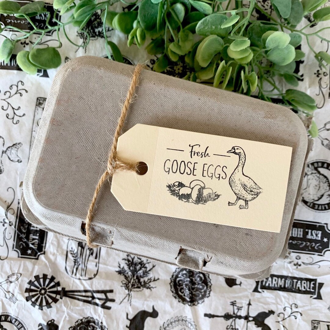 Goose Egg Stamp - Fresh Goose Eggs - Egg Carton Stamp - Egg Carton ...