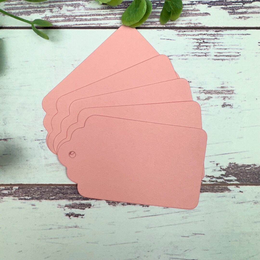 100 Pink Craft Tags Tags for Packaging Blank Craft Tags Kraft Tags Egg ...
