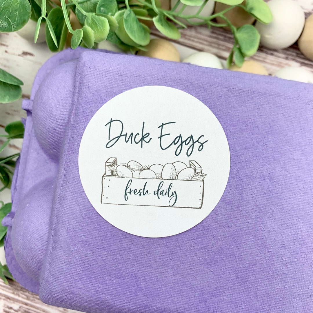 Duck Egg Carton Sticker - Duck Stickers - Farm Fresh Stickers - Egg ...