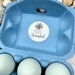 Unwashed Eggs Sticker Egg Carton Label Funny Chicken Face - Etsy