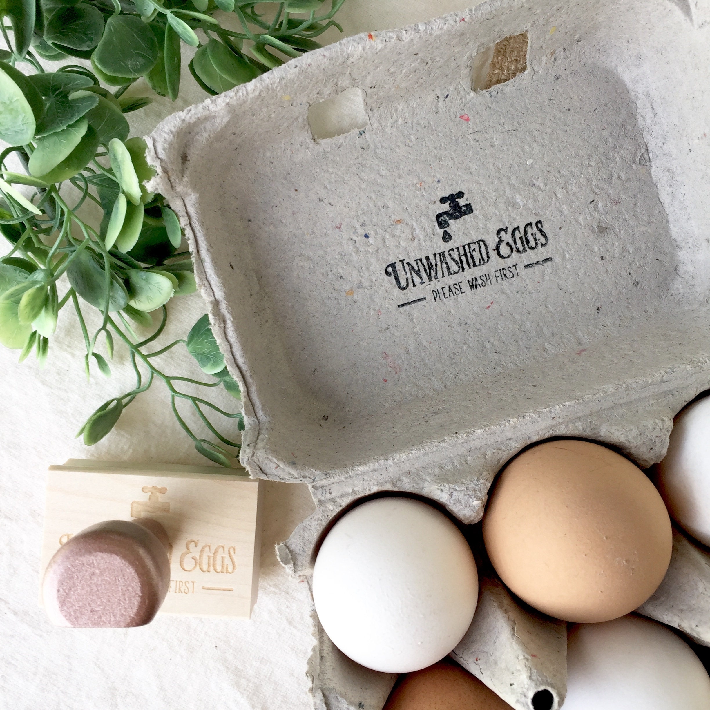 Unwashed Eggs Carton Stamp Egg Carton Stamp Egg Carton - Etsy