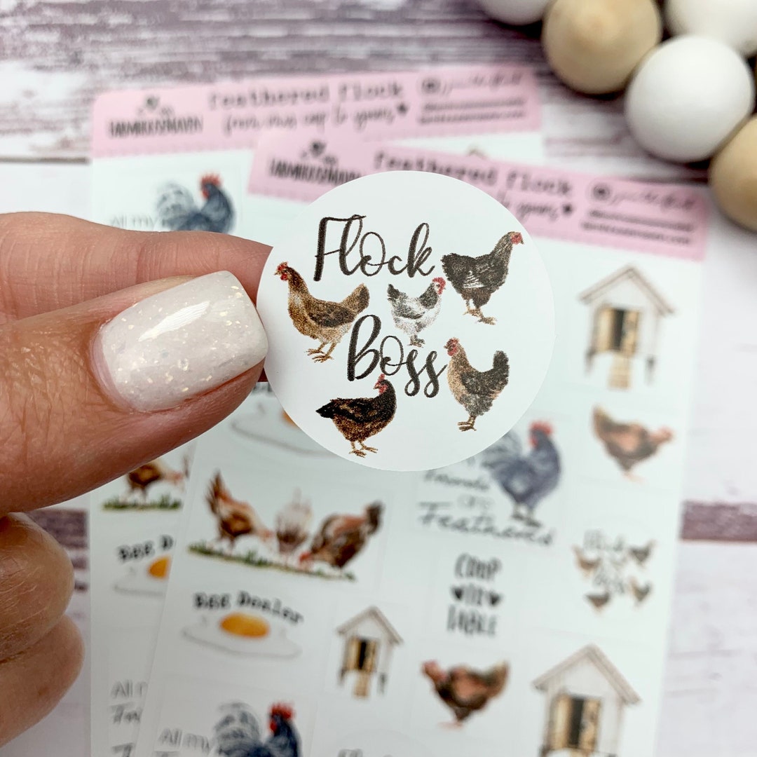 Feathered Flock Stickers - FREE Shipping - Cute Chicken Stickers ...