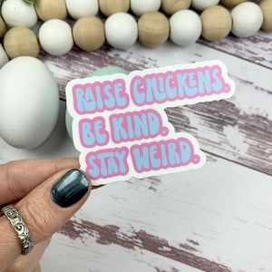 Set of 4 Chicken Stickers - Chicken Bumpersticker - Hen Sticker ...