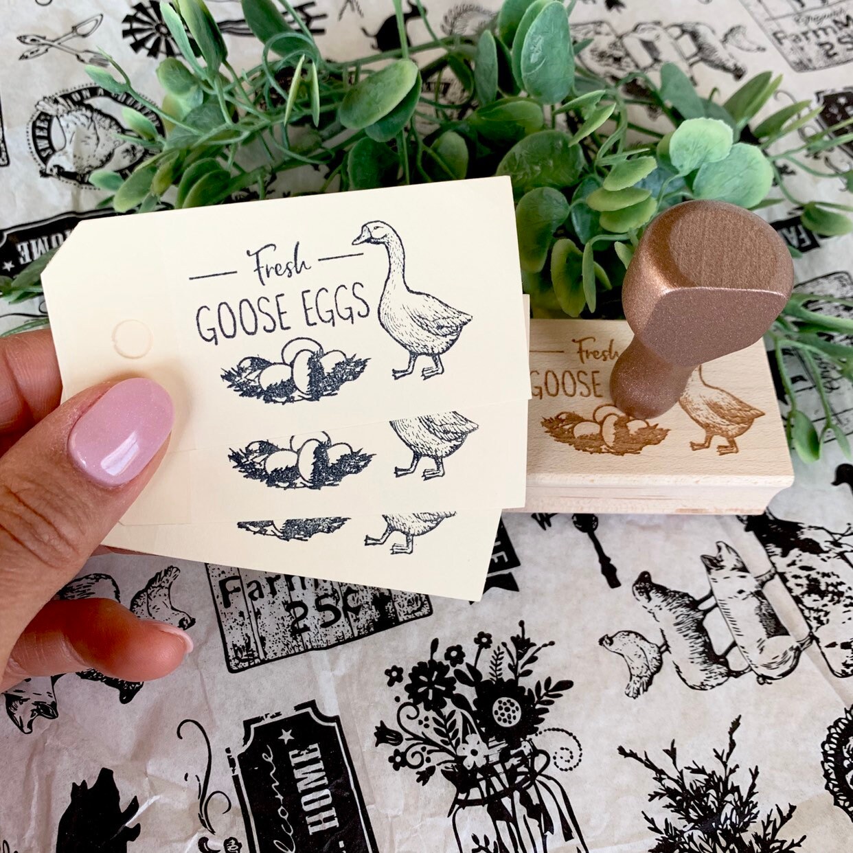 Goose Egg Stamp - Fresh Goose Eggs - Egg Carton Stamp - Egg Carton ...
