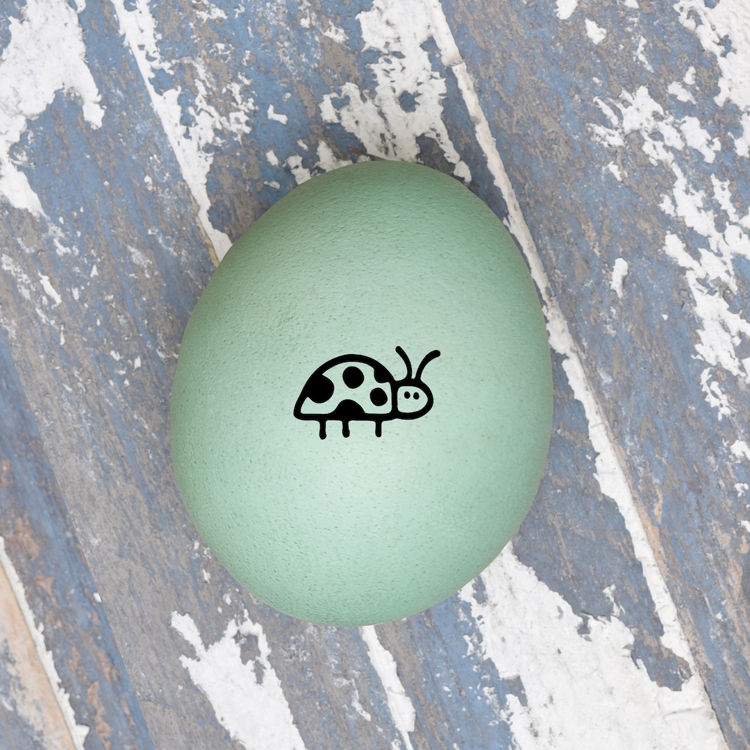 Ladybug Mini Egg Stamp Chicken Egg Stamp Fresh Eggs Chickens Farmhouse ...