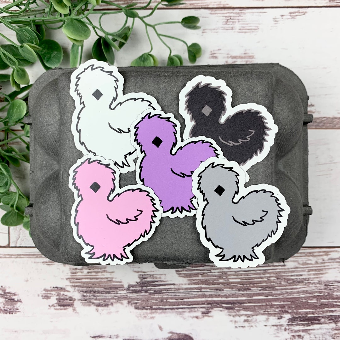 Set of 5 Silkie Chicken Magnets - Pretty Fridge Magnet - Cute Chicken ...