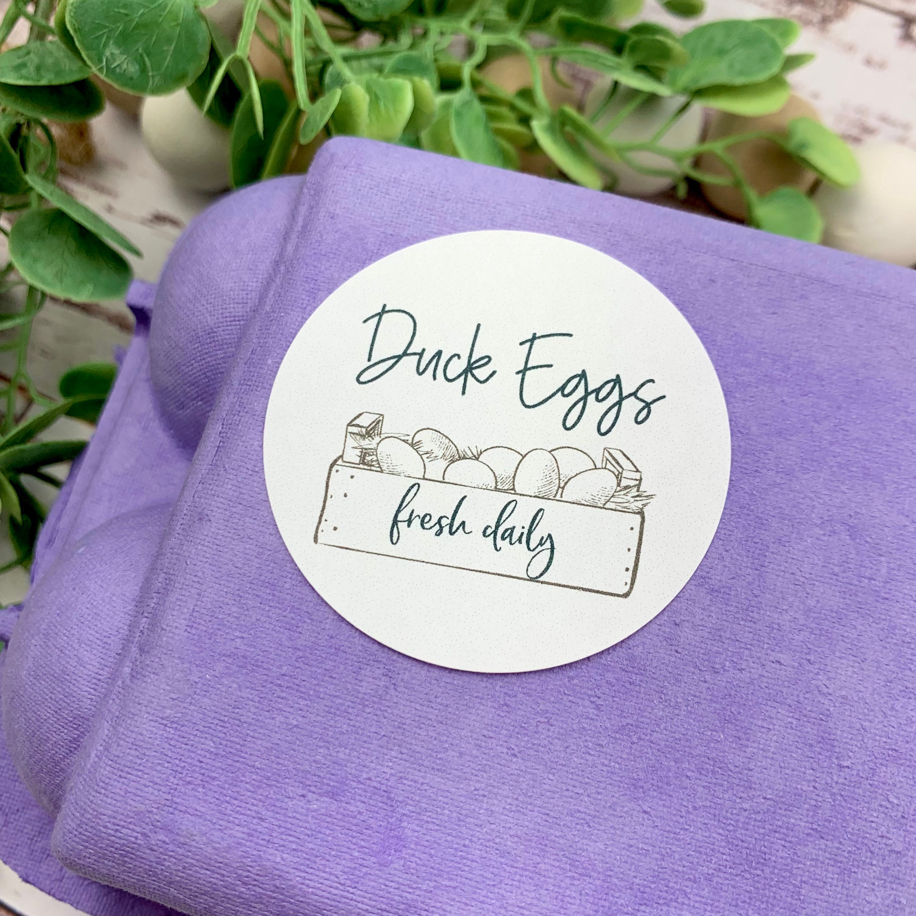 Duck Egg Carton Sticker Duck Stickers Farm Fresh Stickers - Etsy