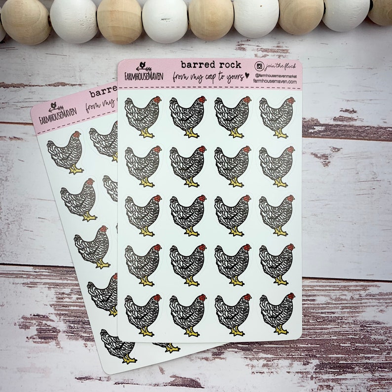 Barred Rock Chicken Stickers Free Shipping Egg Carton | Etsy