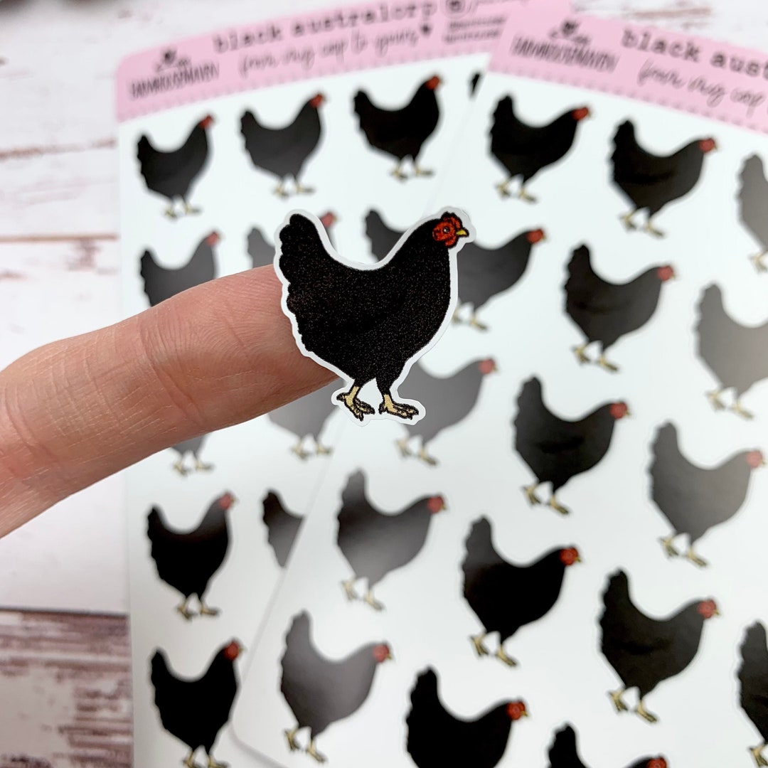 Australorp Chicken Stickers – Vinyl Egg Carton Decals - Etsy