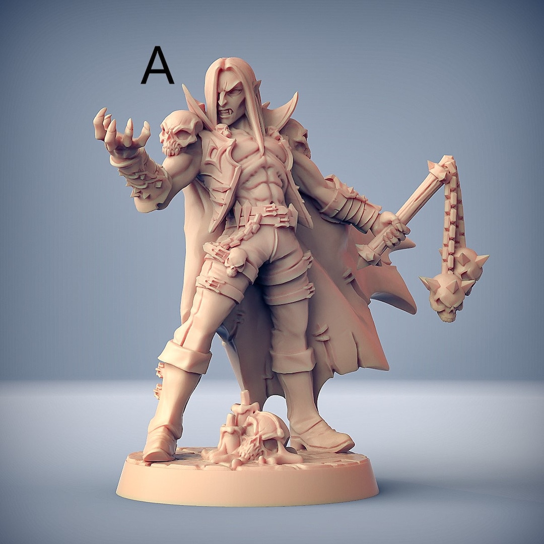 Vampire/ Dhampir Warriors Dnd Miniature Dungeons and Dragons, D&D, D ...