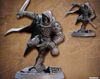 Tabaxi Rogue, Monk, Catfolk, Dnd Miniature Dungeons and Dragons, D&D, D ...