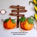2D Pumpkin Patch Collection SVG Digital Die Cut Paper Piecing - Etsy