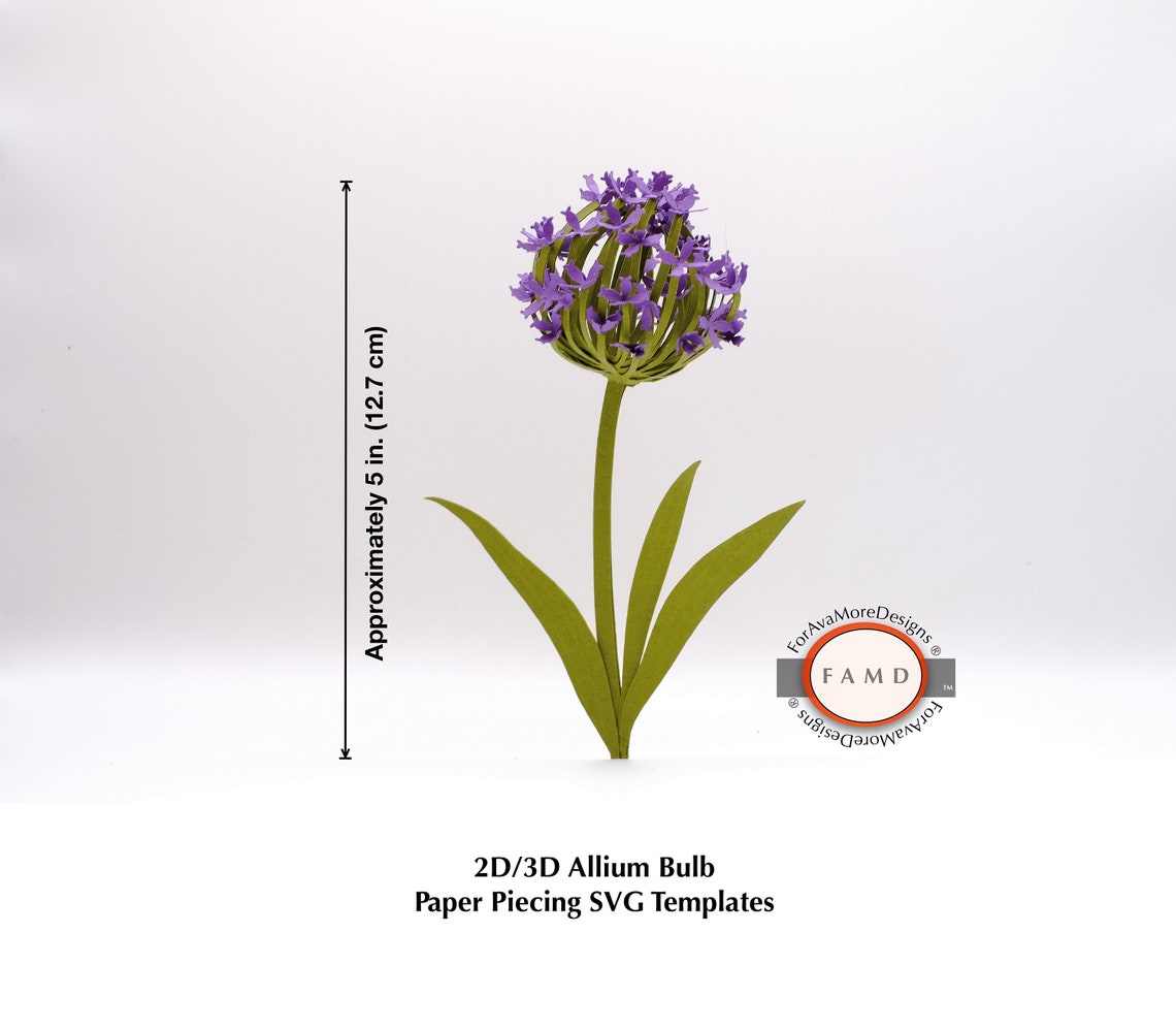 2D/3D Allium Bulb Set SVG Templates for Cricut and Cameo Cutting ...