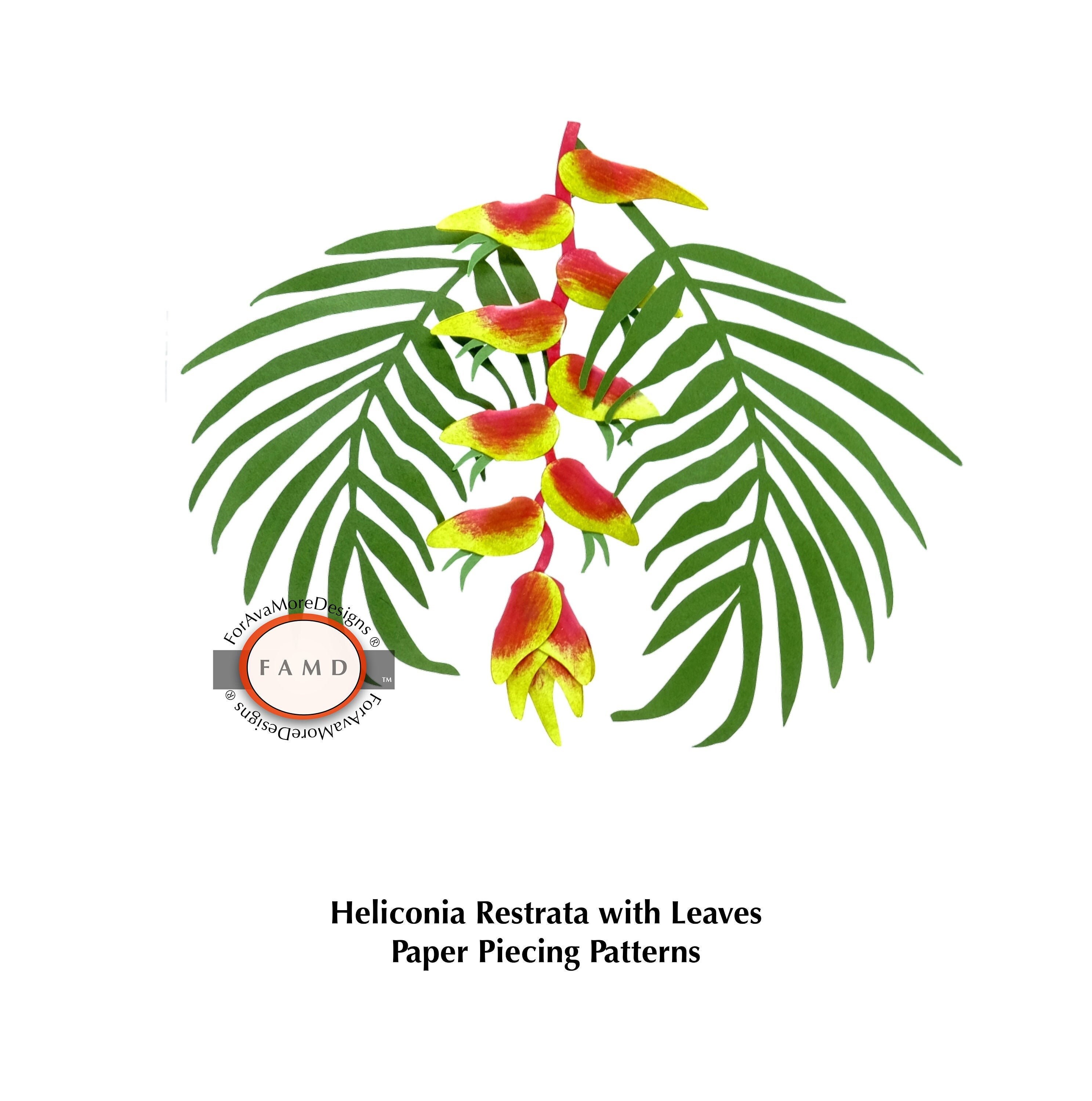 3D Heliconia Restrata Tropical Hawaiian Plant Flower SVG Templates for ...