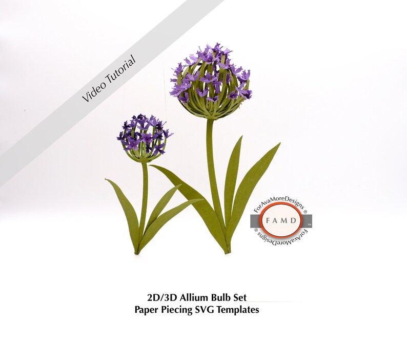 2D/3D Allium Bulb Set SVG Templates for Cricut and Cameo Cutting ...