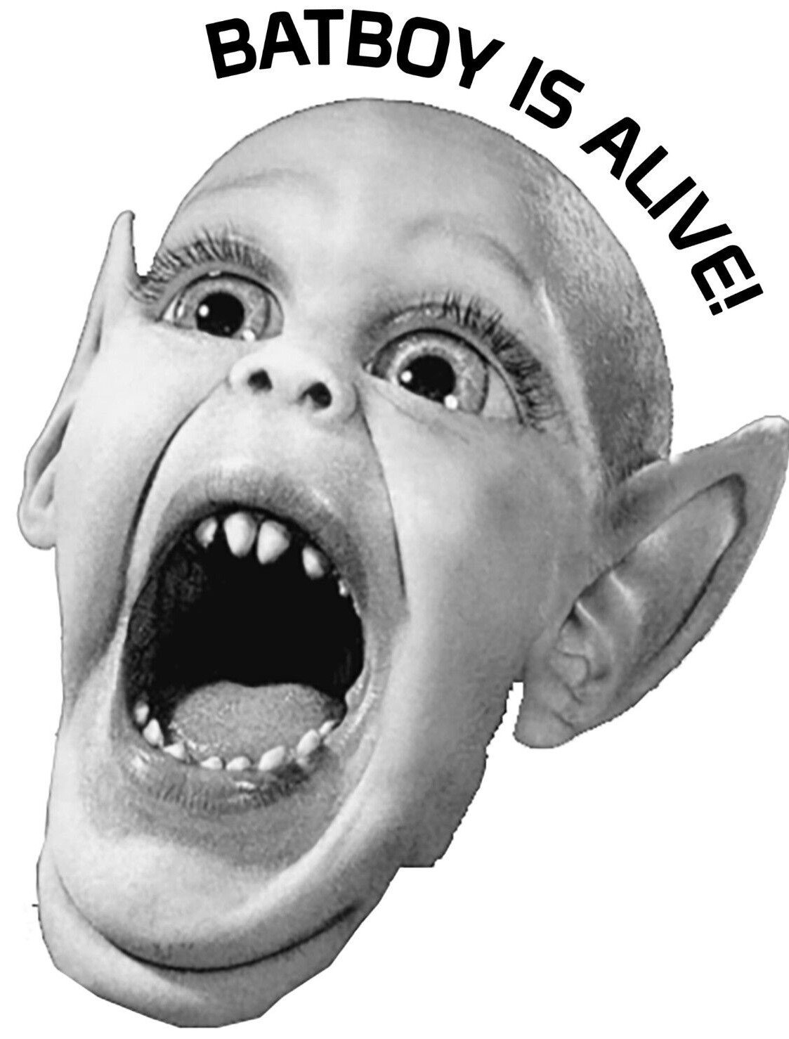 BAT BOY is ALIVE! Laminated Print - Etsy