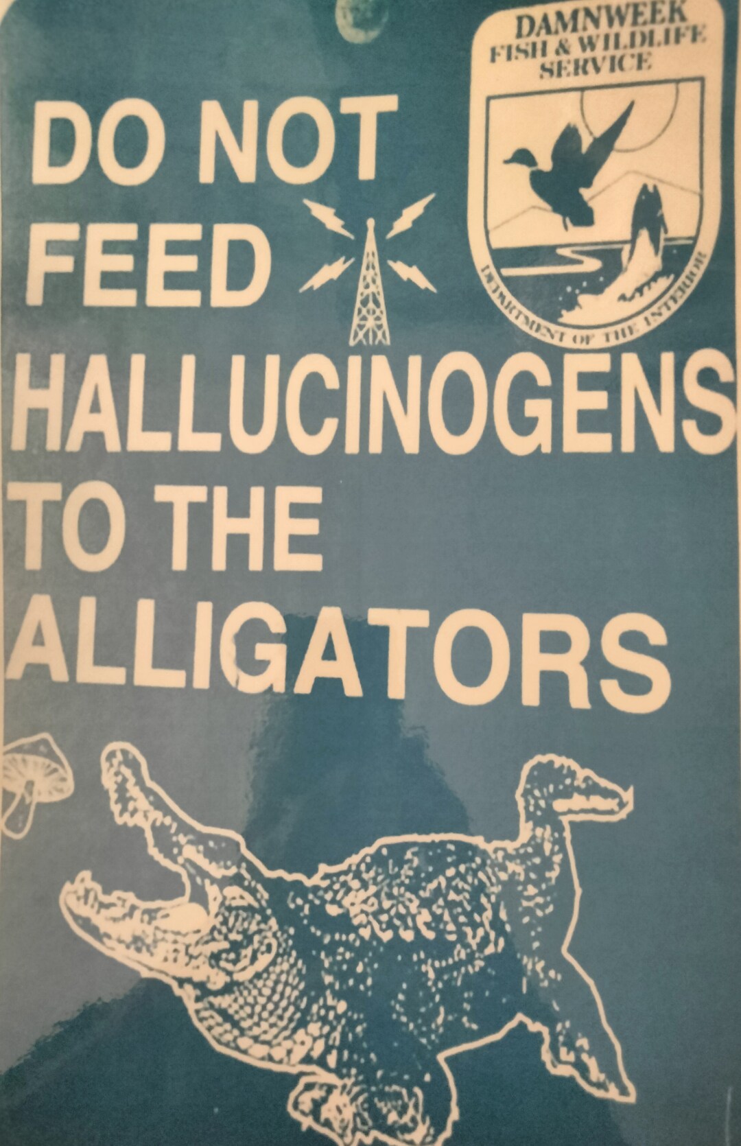 Don't Feed ALLIGATORS HALLUCINATIONS Laminated Print - Etsy