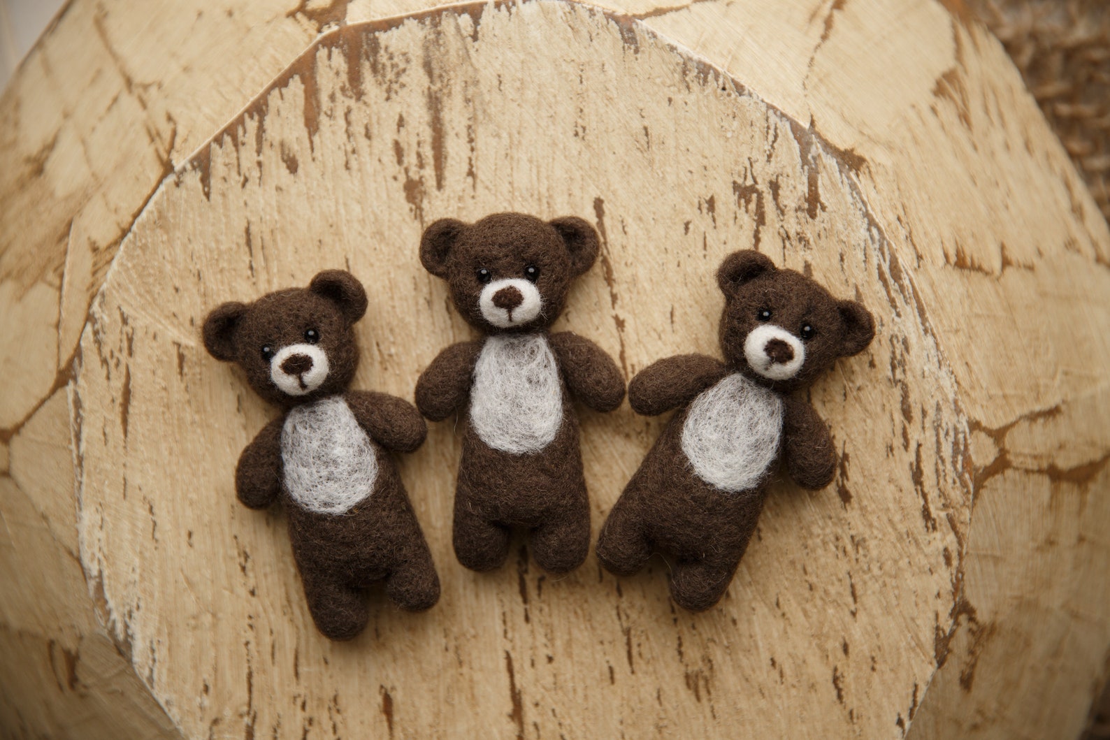 Dark Brown Teddy Bear Stuffy Newborn Photography Prop RTS | Etsy