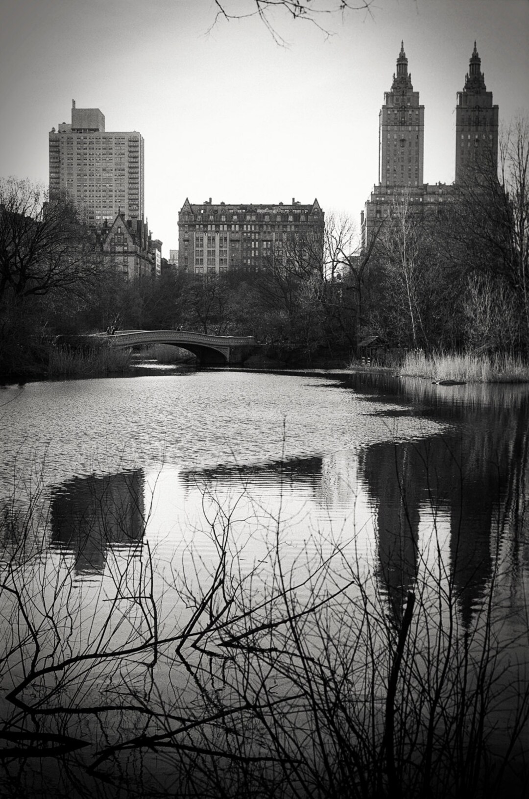 The Ramble and Lake, Central Park, NY 1997. - Etsy
