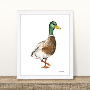 Duck Bird Watercolor Wall Art, Wall Decor, Nursery Art Print, Boys Room ...