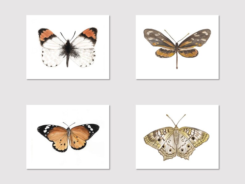 Butterlies Set 4 Nursery Art Print Boys Room Girls Room - Etsy