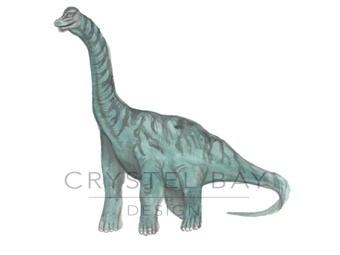 Dinosaur Long Neck Watercolor Wall Art Wall Decor Nursery - Etsy