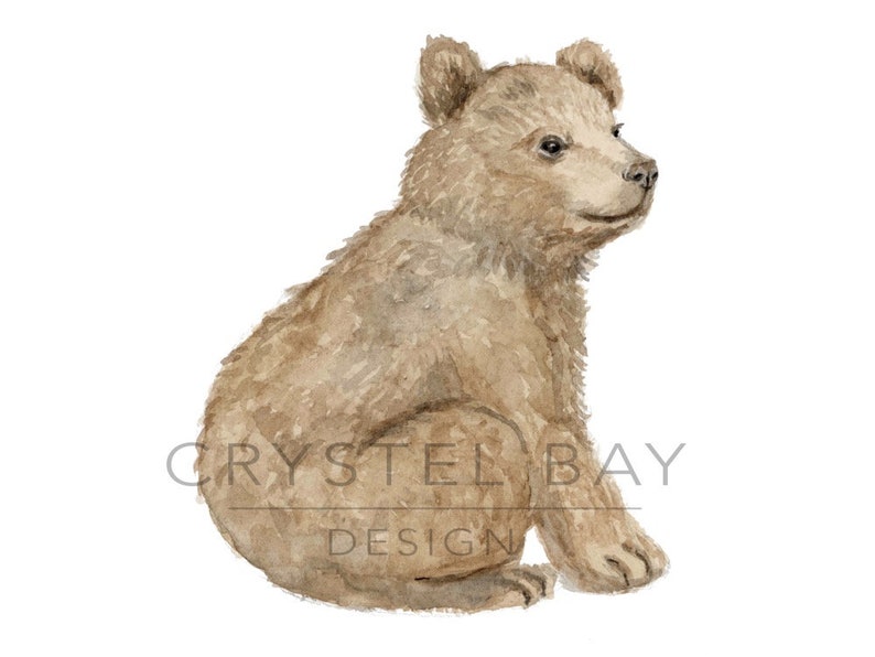 Bear Cubs Set 2 Baby Bear Baby Animal Prints Nursery - Etsy