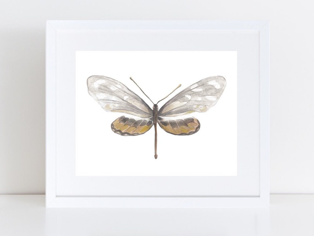 Butterfly Watercolor Art 3 Watercolor Wall Art, Wall Decor, Home Art ...