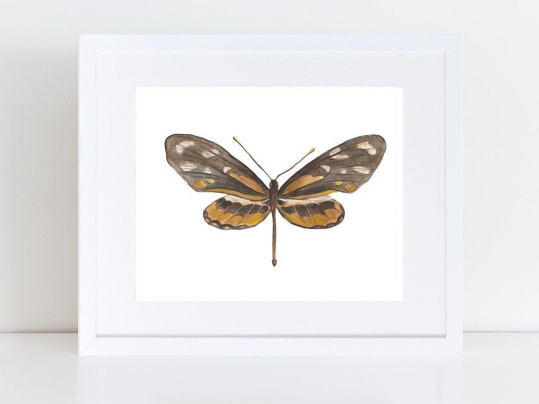 Butterfly Watercolor Art 2 Watercolor Wall Art, Wall Decor, Home Art ...