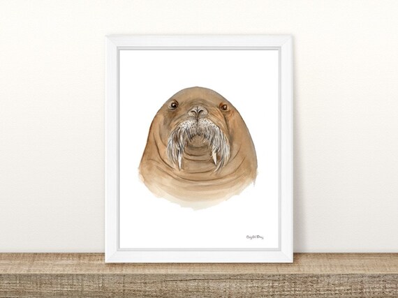 Walrus Watercolor Wall Art Wall Decor Nursery Art Print | Etsy
