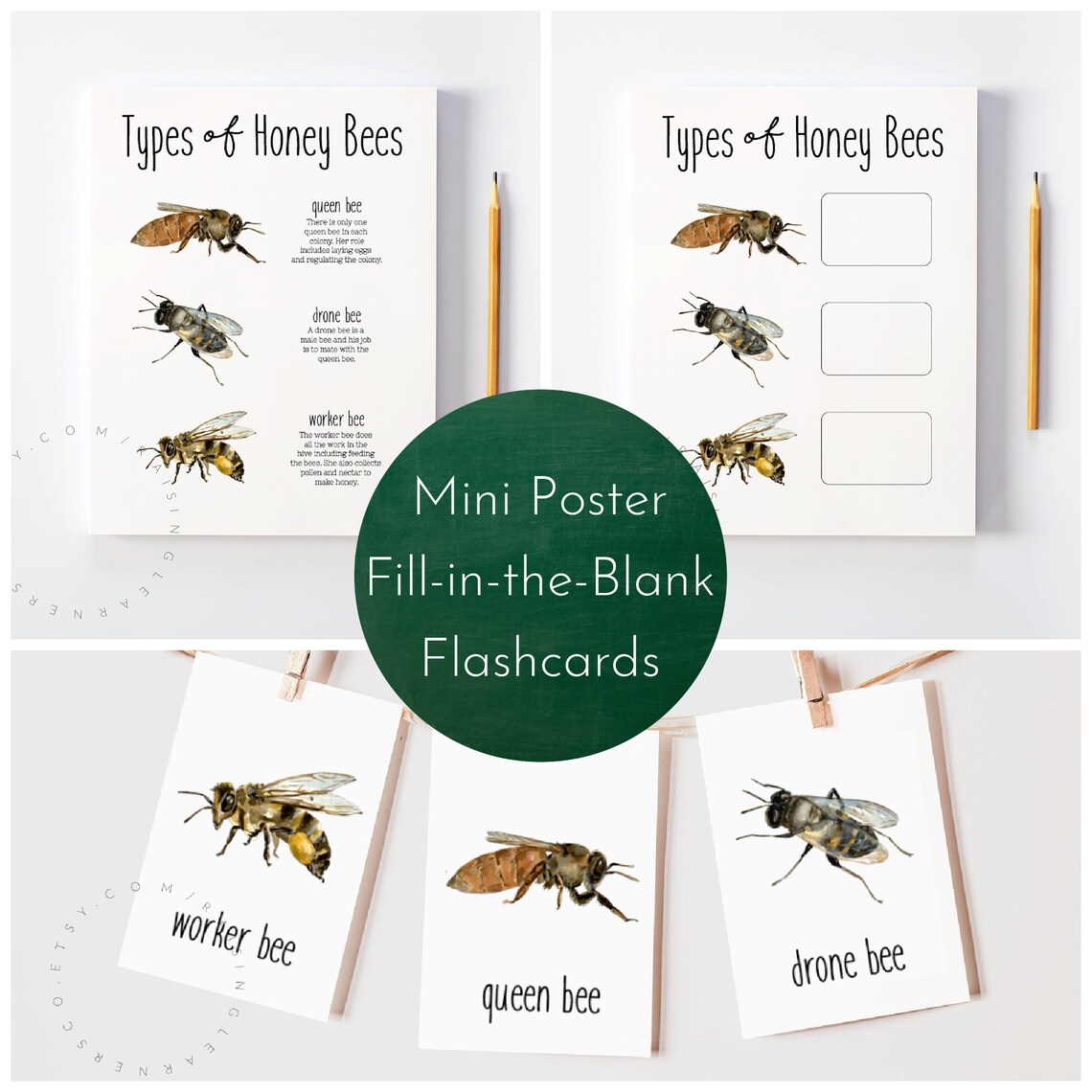 Types of Honey Bees Pack Digital Download / Honey Bee Printable, Honey ...