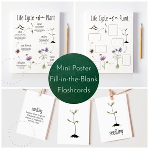 Life Cycle of a Plant Pack Digital Download / Plant Life Cycle ...