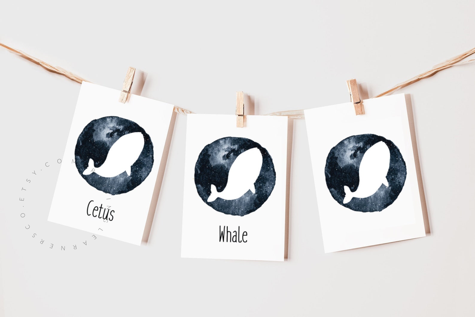 Constellations Bundle Digital Download / Constellations Printable ...