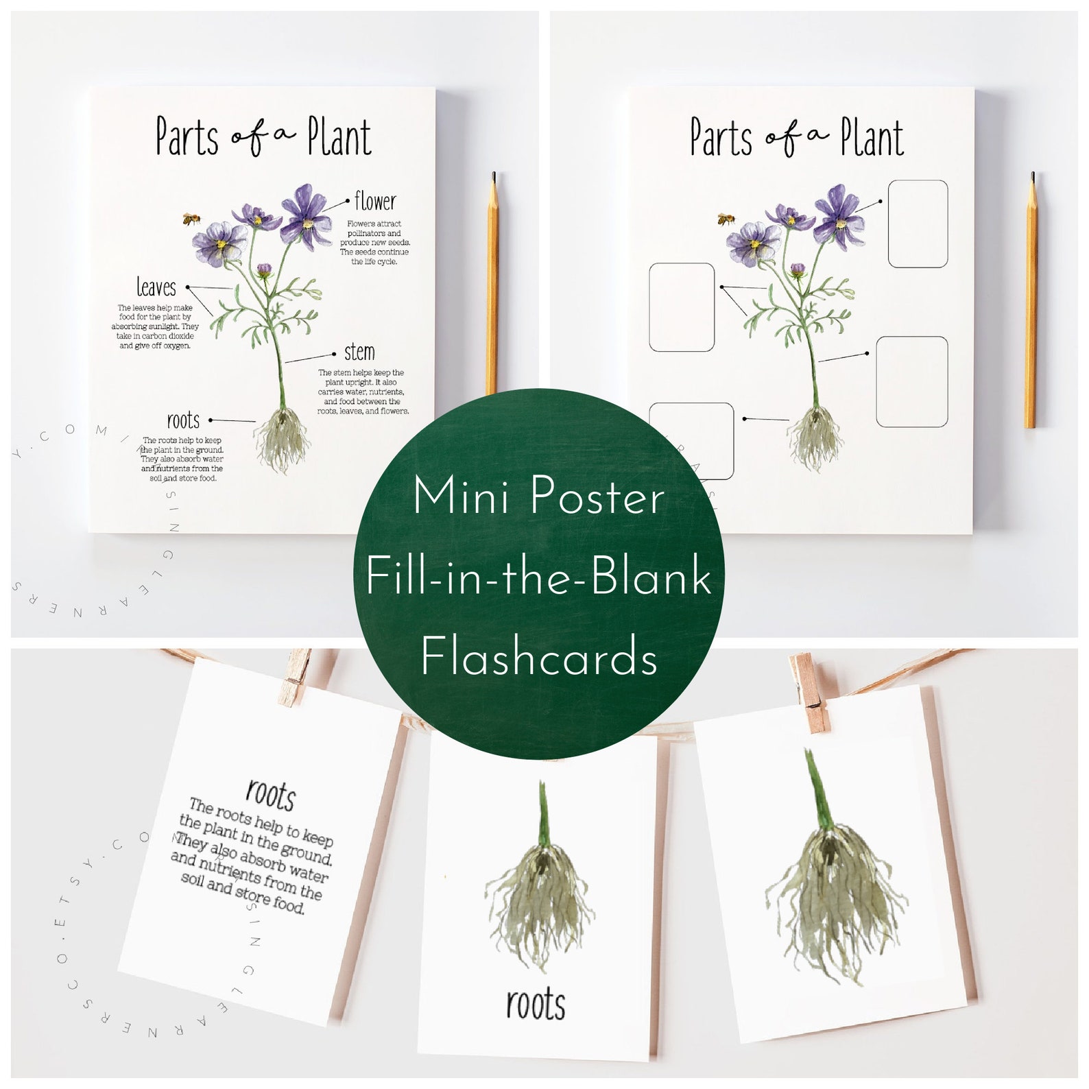 Parts of a Plant Pack Digital Download / Plant Parts Printable, Plant ...