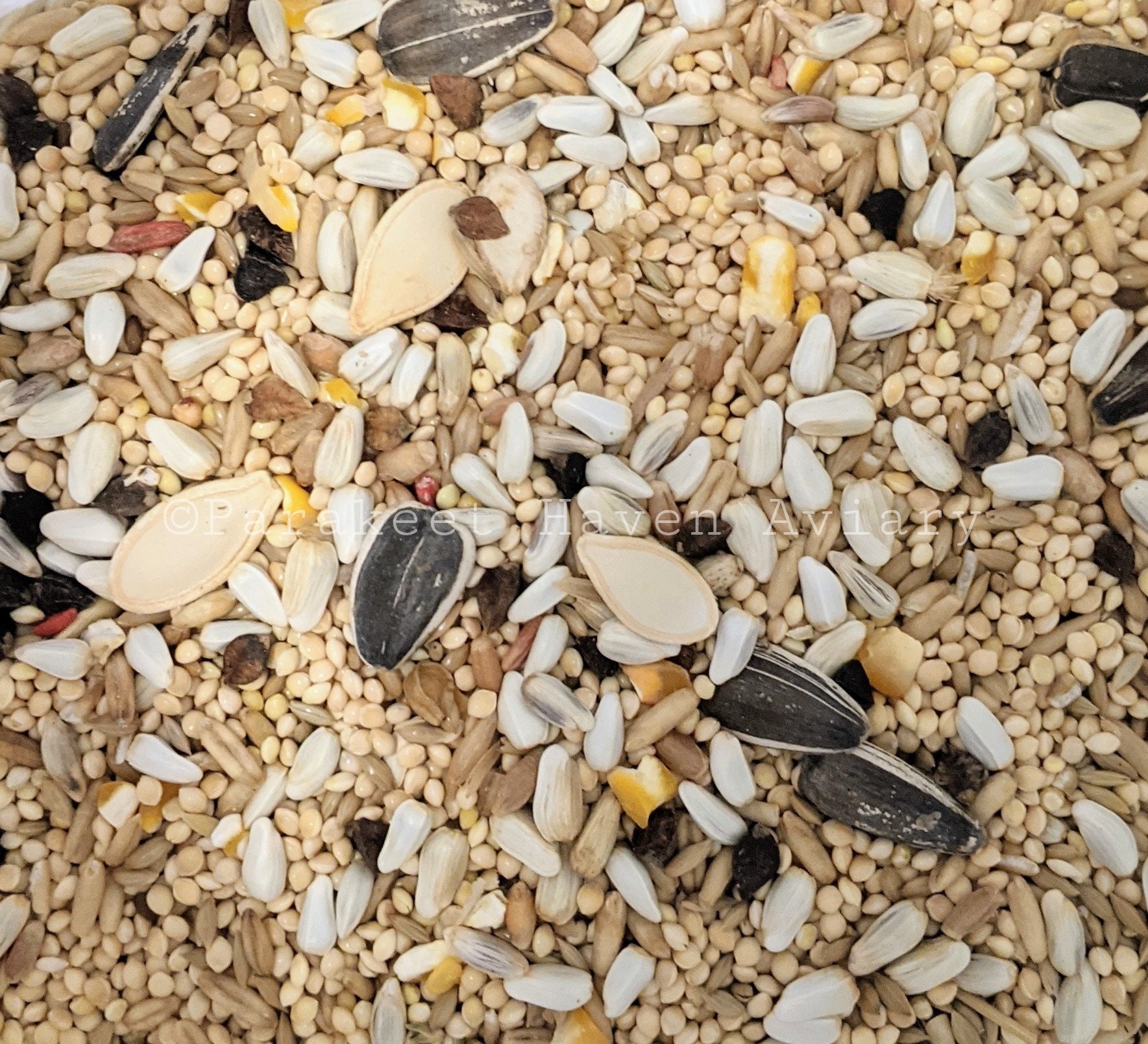Cockatiel Seed Mix - 5 LBS - Etsy