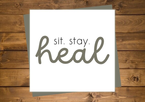 Sit. Stay. Heal Get Well Soon Card Unwell Dog Dog Card Pet - Etsy UK