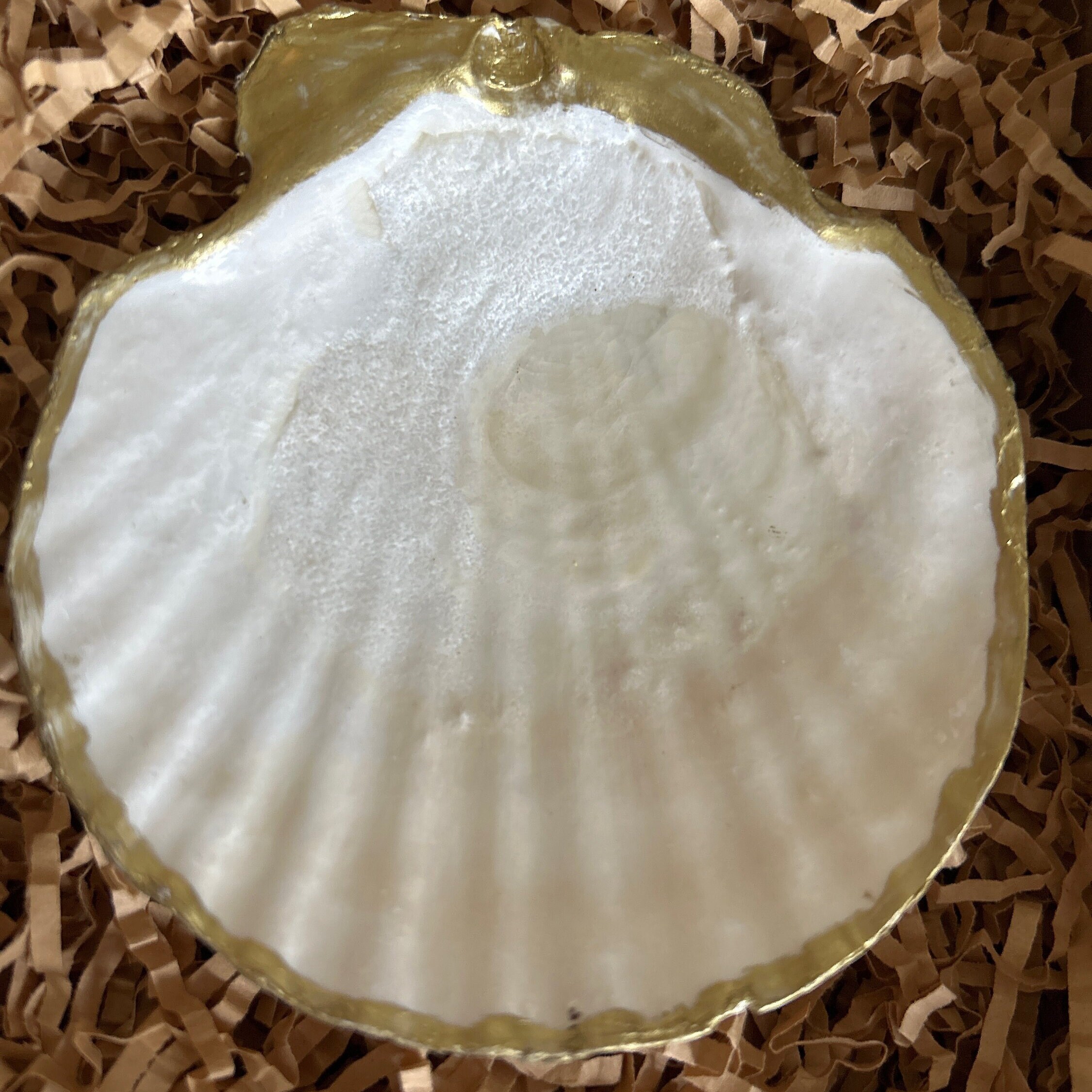 A Message in A Hand Decorated Decoupaged Scallop Shell Gift Display ...