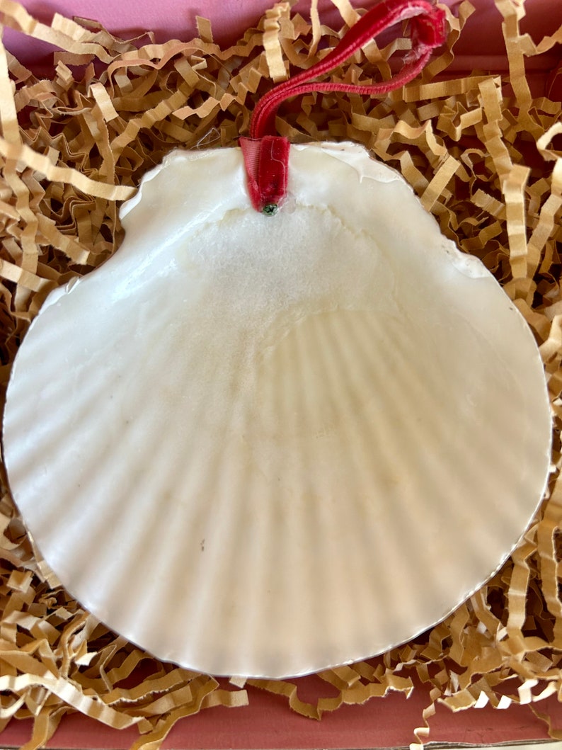 Personalized Scallop Shell Christmas Tree Ornament Decoration Gift ...