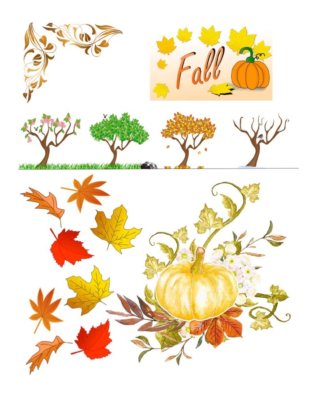 Autumn Season Change Colorful Fall Leaves/trees-printable - Etsy