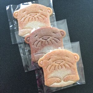 Cute Otter Cookie Cutter - Etsy