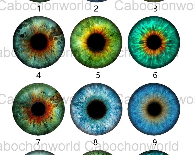 Eye ball Cabochon Collection Circle Handmade Photo Glass Round | Etsy