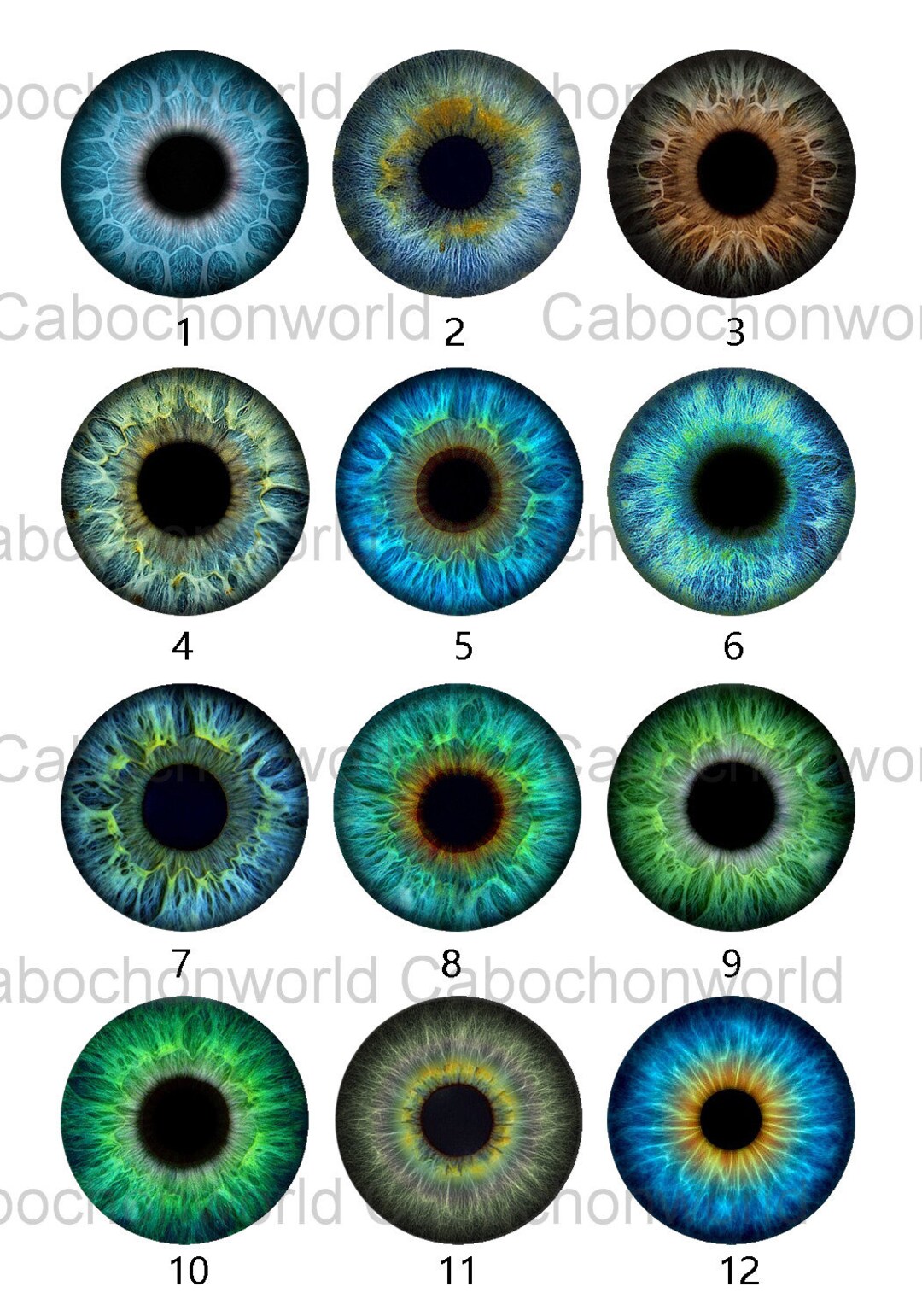 Eye Ball Cabochon Collection Circle Photo Glass Round Dome Flat Back ...