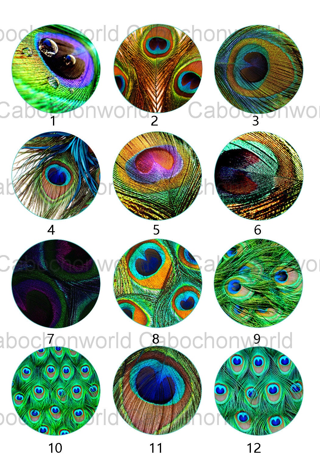 Beautiful Peacock Feather Print Cabochon Collection Circle - Etsy