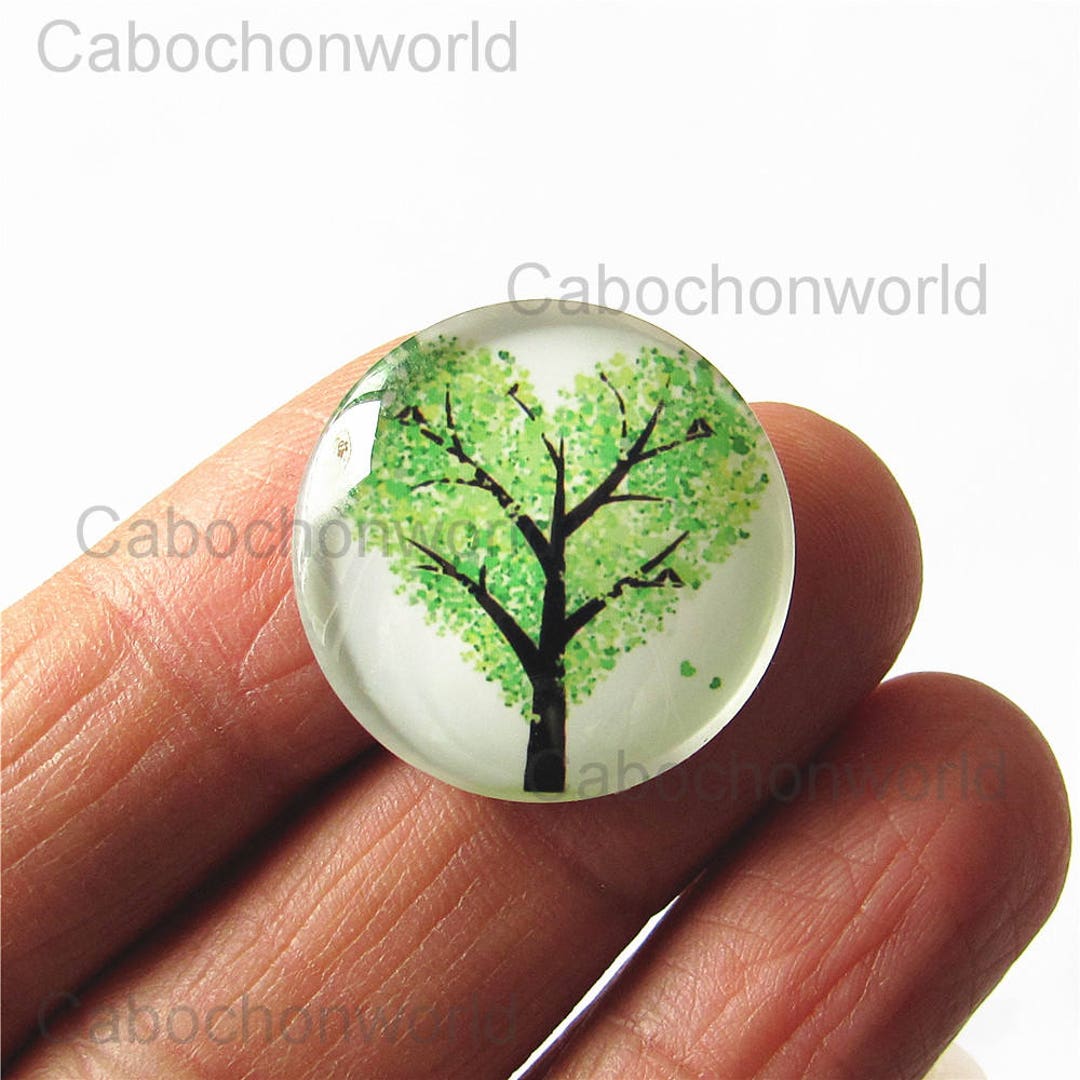 Cuore Verde Albero Cabochon Cerchio Foto Vetro Rotondo Cupola Schiena ...