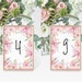 Table Numbers INSTANT Download. Classy Pink Table Number Cards - Etsy