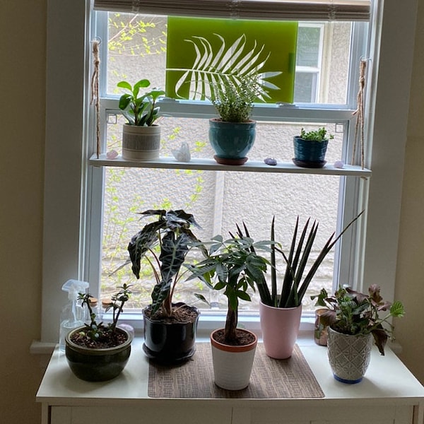 Window Plant Shelf - Etsy